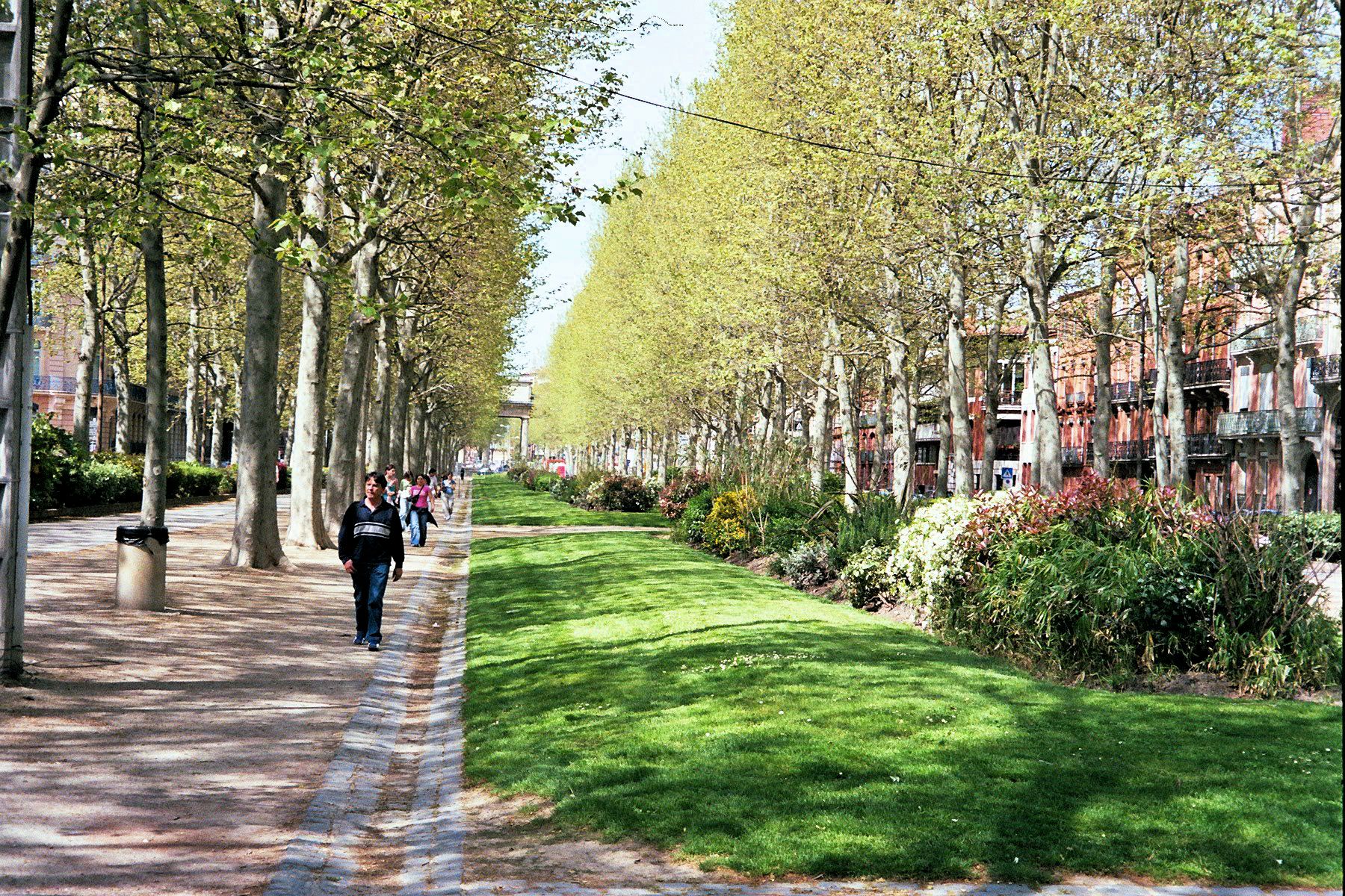 Wordless Wednesday #28 – Spring Flowers in Toulouse – Breath of Hallelujah