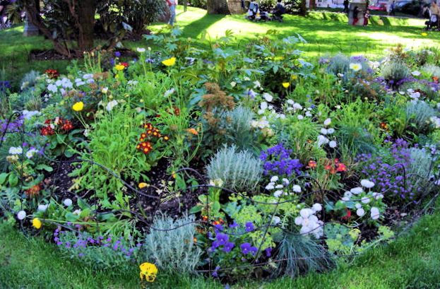 Wordless Wednesday #28 – Spring Flowers in Toulouse – Breath of Hallelujah