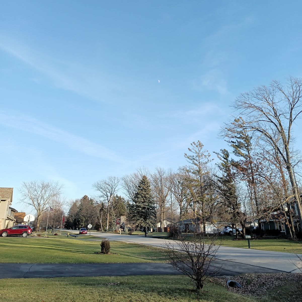 Sunday Gratitude – 25.II.2024 – Breath of Hallelujah